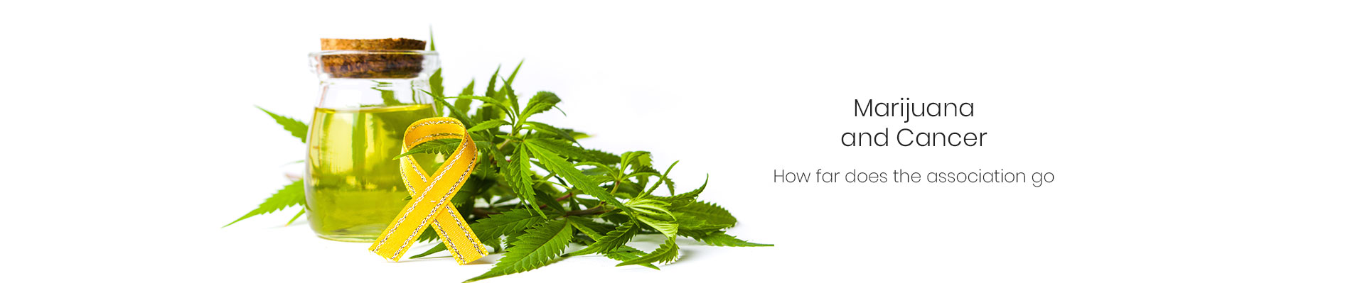 Guide - Online Medical Card